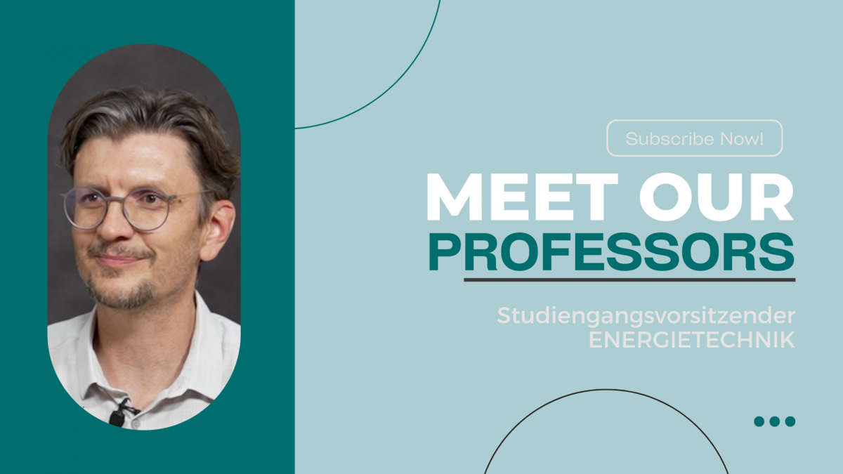 Meet our Professors: Thomas Kienberger